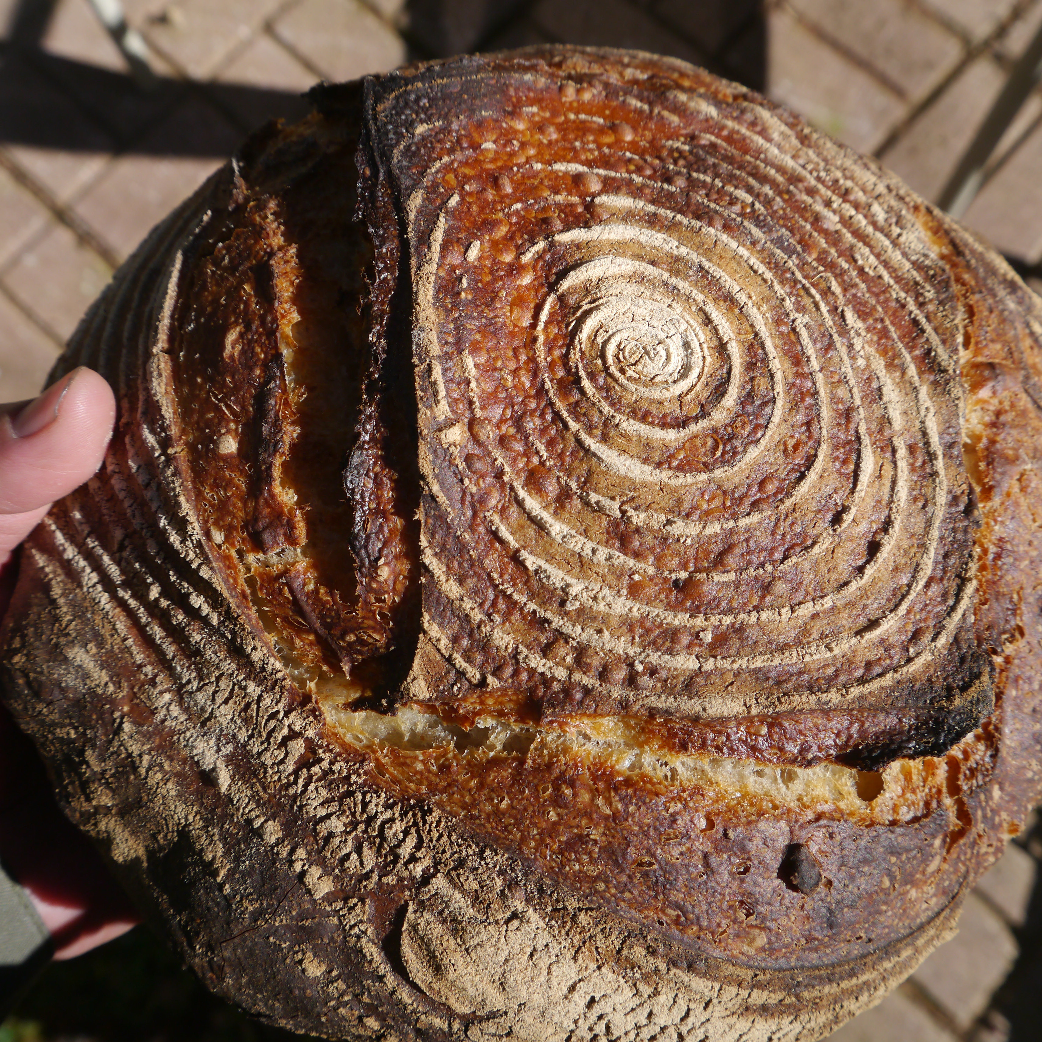 Bonny Doon Bread | Empire Grade Purveyors